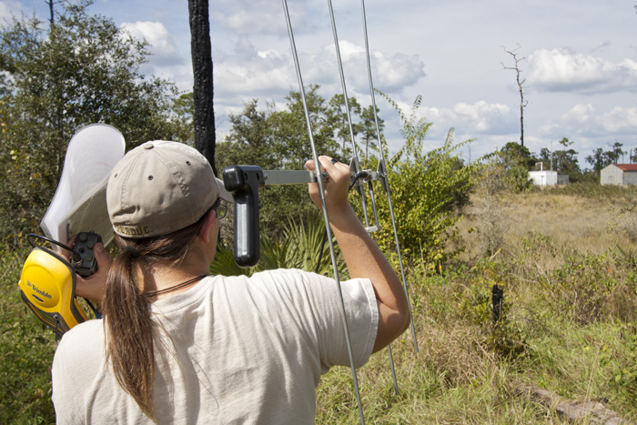 Tortoise Tracking – The Scrub Blog