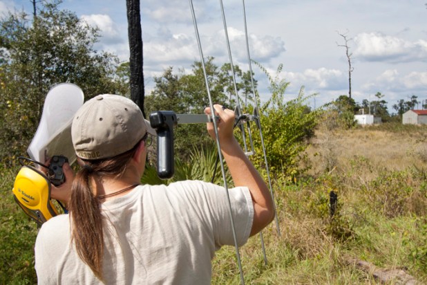 Tortoise Tracking – The Scrub Blog