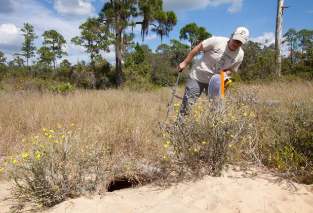 Tortoise Tracking – The Scrub Blog