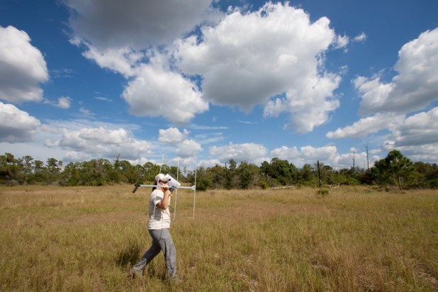 Tortoise Tracking – The Scrub Blog