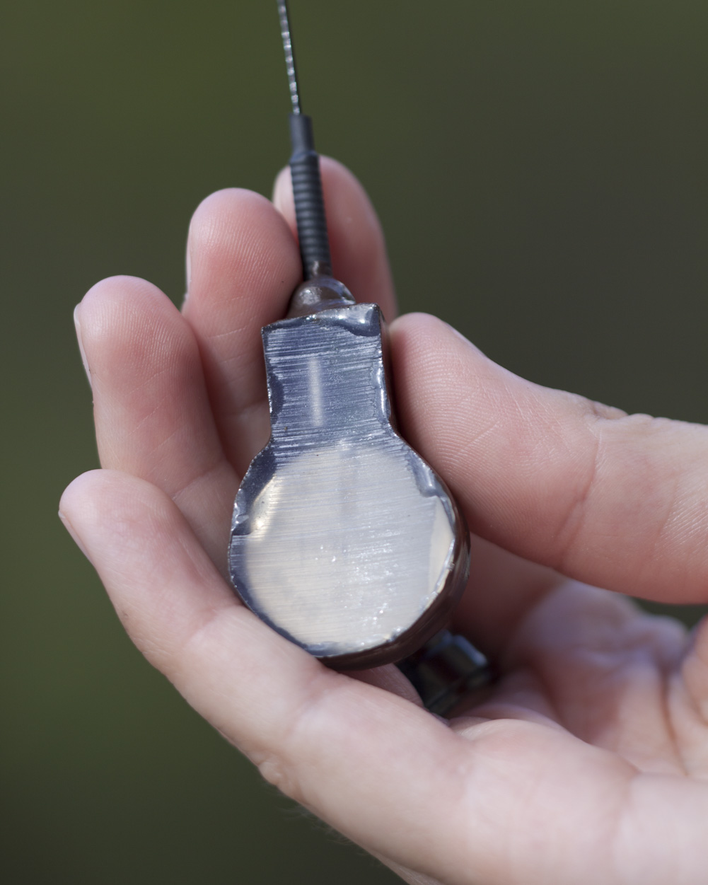 Tortoise Tracking – The Scrub Blog