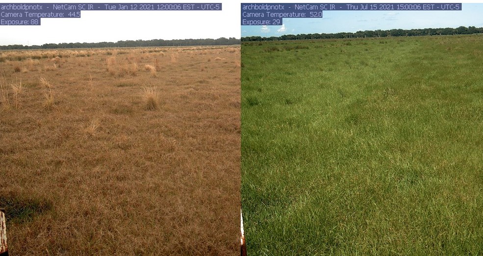 Buck Island Ranch participating in nationwide collaboration for ...