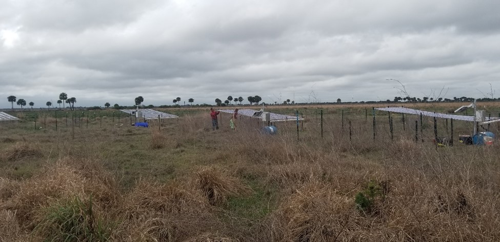 Droughts and Deluges – how do changing rainfall patterns affect ...