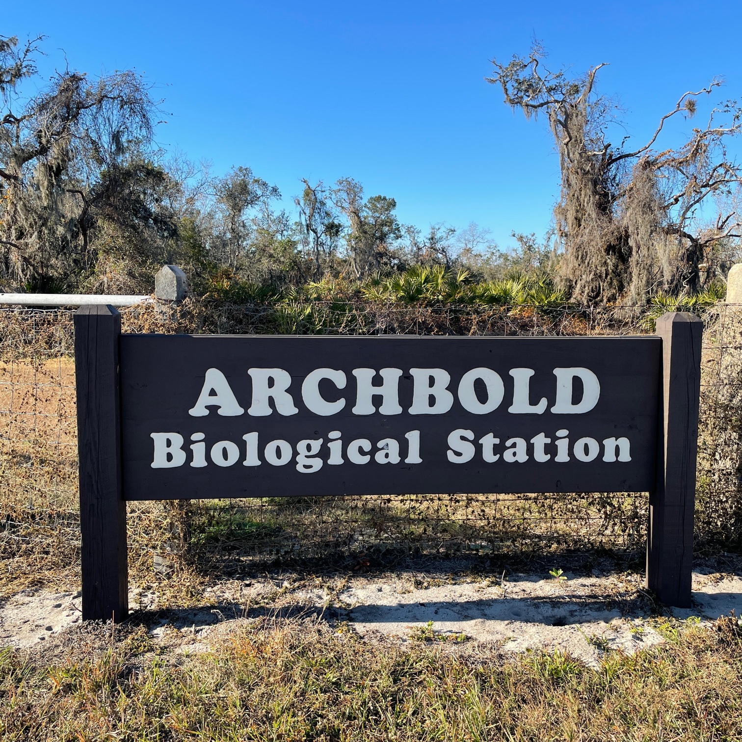 2022 at Archbold: the year in review – The Scrub Blog